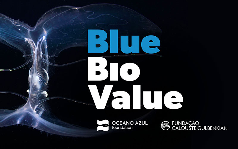Blue Bio Value - Lispolis
